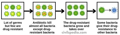 Anti Microbial Resistance