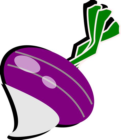 Free Turnip Cliparts Download Free Turnip Cliparts Png Images Free