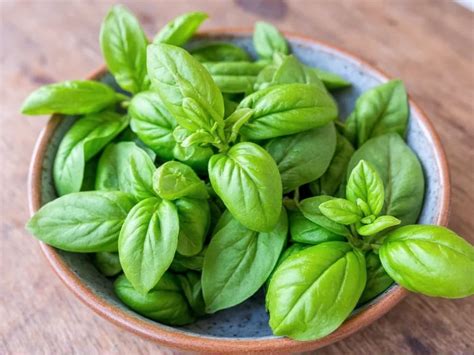 Fresh Basil To Dried Conversion Exact Ratios And Usage Guide