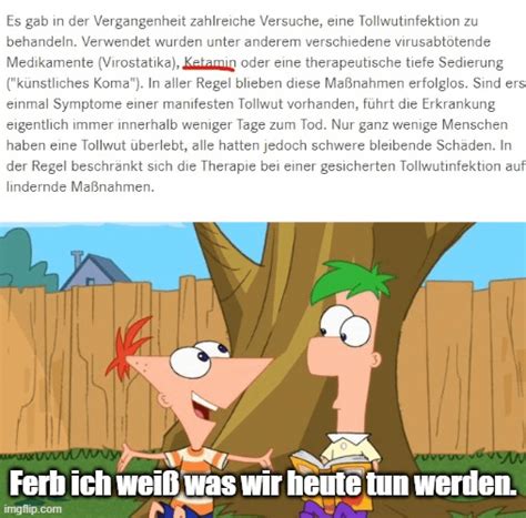 Mom Phineas Und Ferb Nehmen Wieder Keta R Okbrudimongo