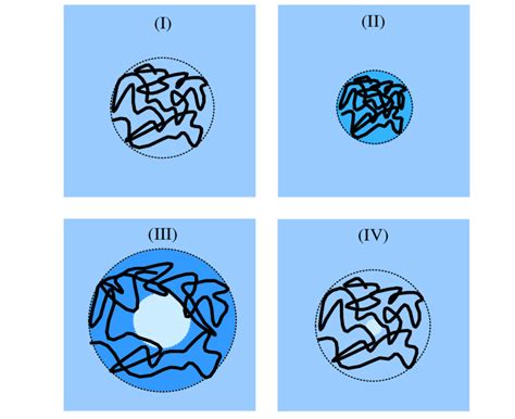 Schematic Representation Of The Transformation Of A Polymer Coil In The Download Scientific