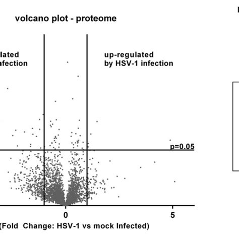 Mass Spectrometry Analysis Of The Pelleted Cells Proteome A Download Scientific Diagram
