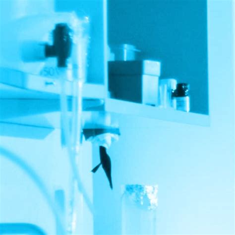 Blutbild Hämatologie Diagnostikdirekt