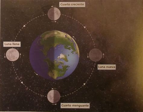 Las Fases De La Luna Para Niños De Primaria Imagui