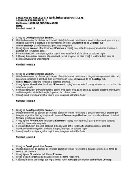 Subiecte Analist Programator Pdf