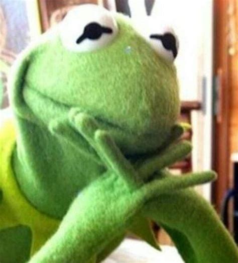 Pin By Sunlight On Bg In 2025 Kermit Funny Frog Meme Cute Memes