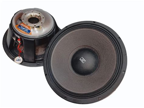 Lsd 15 Inch Ld156500 Pa Speaker 800 W At ₹ 16000 In Rourkela Id