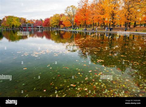 Beaver Lake Mount Royal Park Parc Du Mont Royal In Autumn People