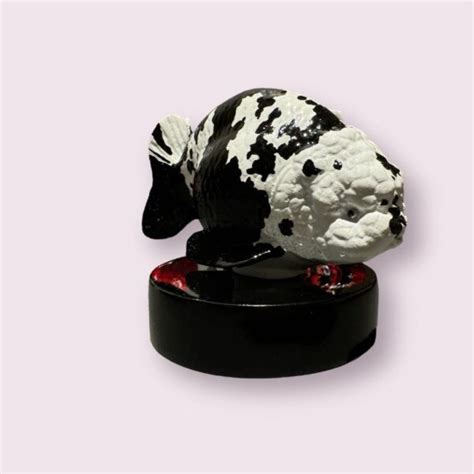 Small Black And White Ranchu Statue With Base Brisbane Discus And Aquariums