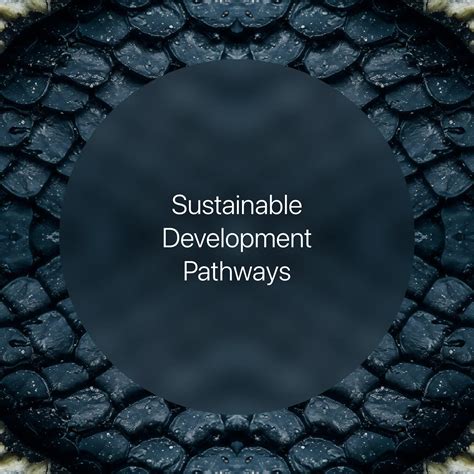 Sustainable Development Pathways → Term