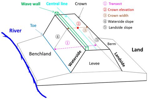 Levees Diagram