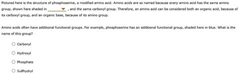 Solved Pictured Here Is The Structure Of Phosphoserine Modified Amino Acid Amino Acids Are S0