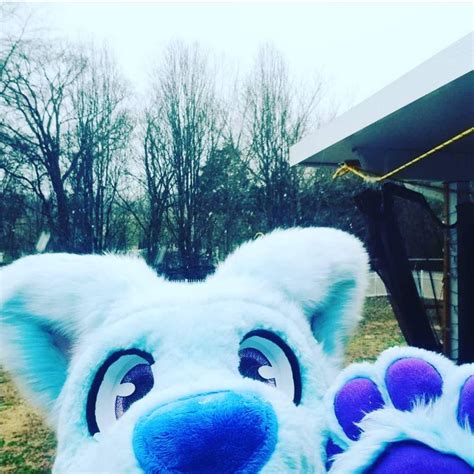 Looking For Fursuit Makers Fursuit Maker Amino Amino