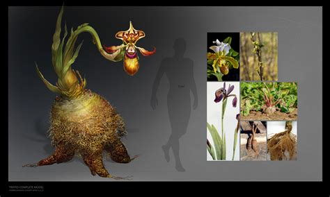 Andrew Johnson Triffid Concept The Day Of The Triffids