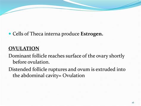 Menstrual Cycle And Hypothalamo Pituitary Ovarian Axis Ppt