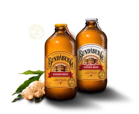 What Is Ginger Beer Menu Explain
