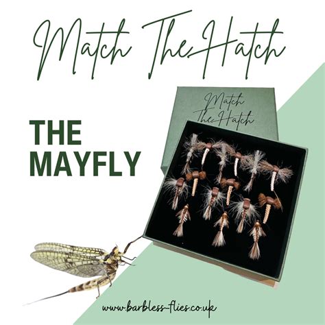 Mayfly Match The Hatch Selection From Barbless Flies