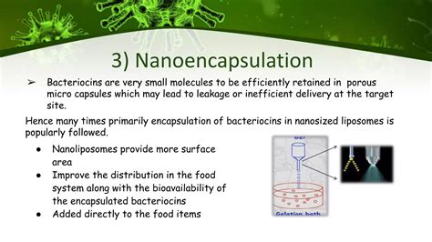 Role Of Bacteriocins In Food Safety Pdf