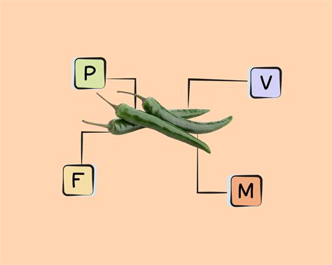 Green Chili Pepper Nutrients