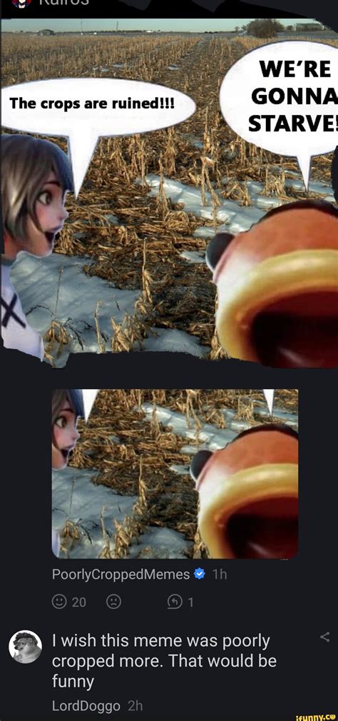 Were Gonna The Crops Are Poorlycroppedmemes 20 I Wish This Meme Was