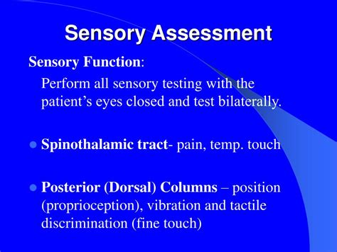 What Is A Sensory Assessment At Alana Walden Blog