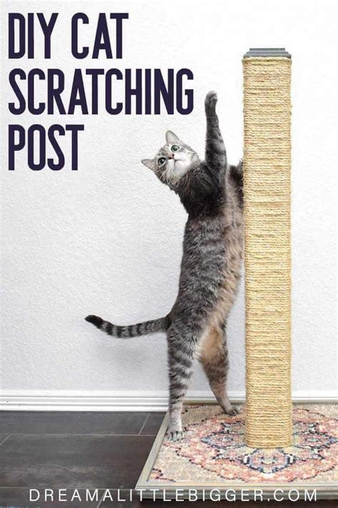 35 Diy Cat Scratching Post Ideas Diyncrafty