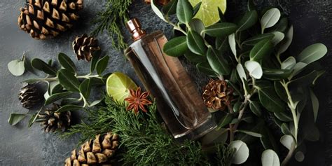 Pinakamahusay Na Maanghang Na Pabango Na Magpapasigla Sa Iyong Pandama