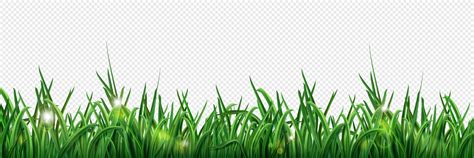 Isolated Green Grass Lawn Border Illustration 22277074 Vector Art At