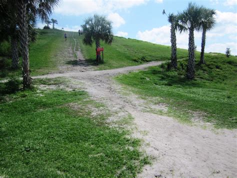 The Celery Fields Photos