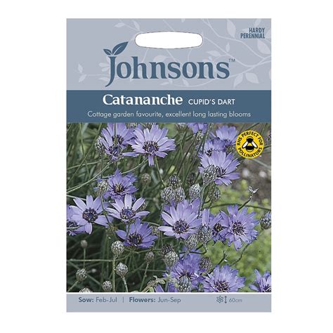 Catananche Seeds Cupids Dart By Johnsons Cazaar