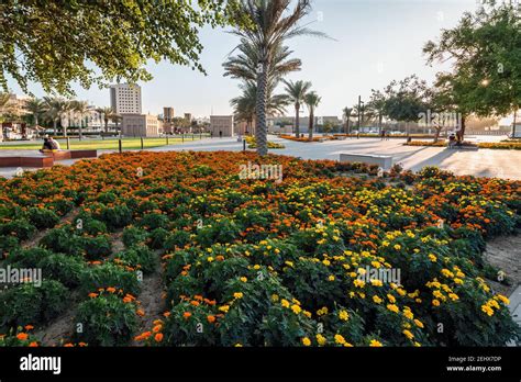 Wonderful Evening View In Dammam Park City Dammam Saudi Arabia