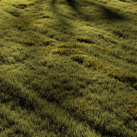 Field Grass №4 3d Model For Corona