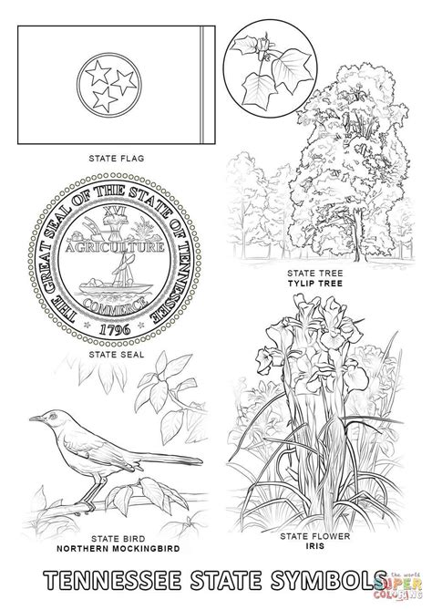 Tennessee Coloring Page Tennessee State Symbols Coloring Page