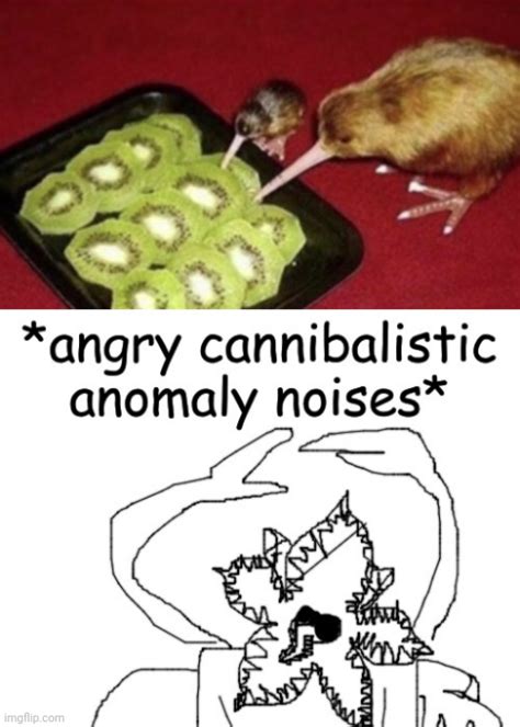 Kiwis Eating A Kiwi Imgflip