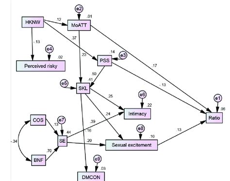 Recursive Path Diagram Predictor Of Condom Use Ratio In Terms Of Download Scientific Diagram
