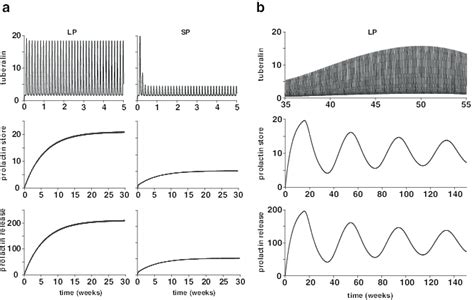 A The Pars Distalis Component Of The Model Responds To The Predicted