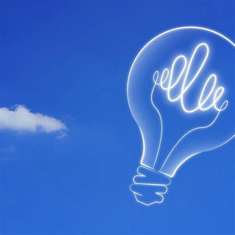 Żbik W Polsce Powrót Dzikiego Kota