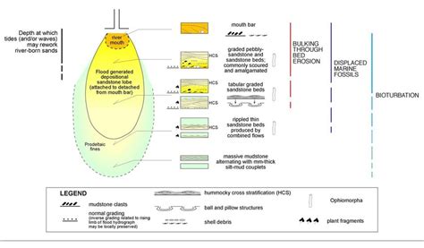 Main Characteristics Of Delta Front Sandstone Lobes In A Download Scientific Diagram