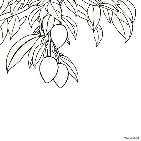 Printable Mango Colouring