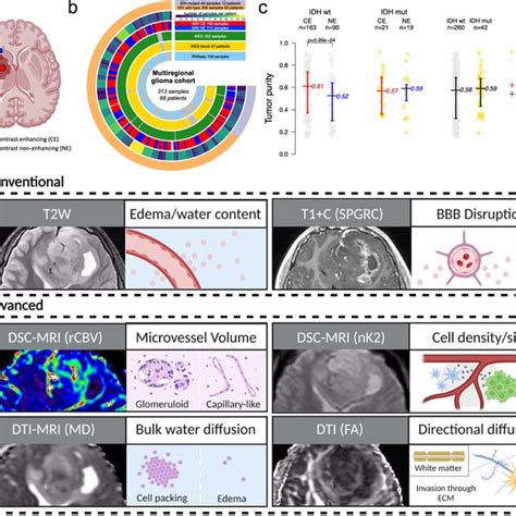 Multiregional Biopsy And Mri Based Tumor Sampling From A Cohort Of