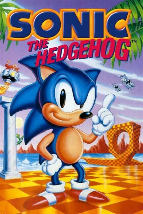 Sonic The Hedgehog 1991 Retro Gaming Art Classic Sonic Sonic Birthday