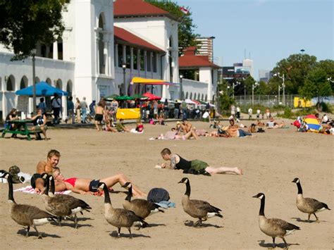 Toronto Photos National Geographics Ultimate City Guides
