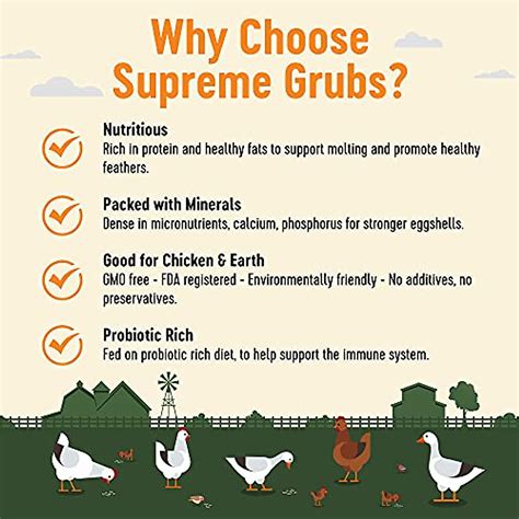 Supreme Grubs Black Soldier Fly Larvae For Chickens High Protein Feed