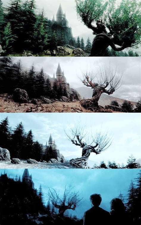 Whomping Willow With The Seasons Whomping Tree Weeping Willow Harry