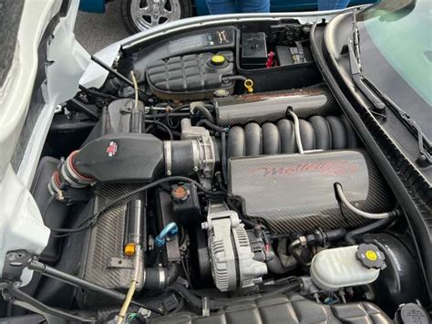 Mallet Hammer Corvette