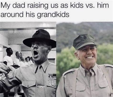 Memes For Dads And Dads Only 44 Pics