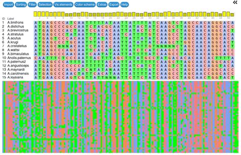 Slides Phylogenetics Back To Basics Introduction Phylogenetics Back To Basics