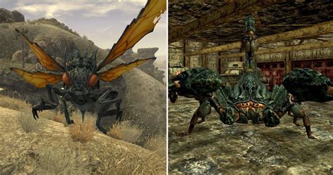 Fallout The 10 Creepiest Bug Mutants Ranked