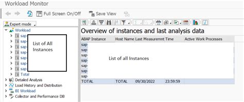 Find User Who Ran The Reporttcode On Certain Day Sapcodes