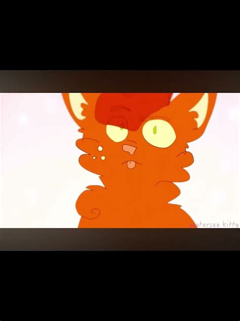 Squirrelflight And Brambleclaw Edit Youtube